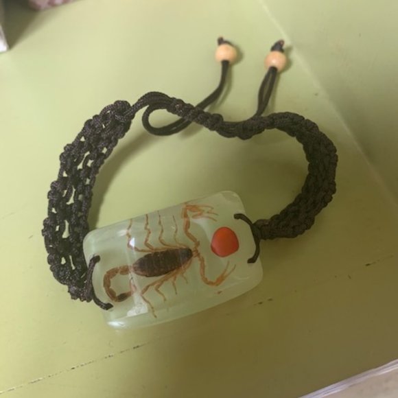 Other | Bugs Pendant Bracelet Encased In Resinmakes A Unique Gift For ...